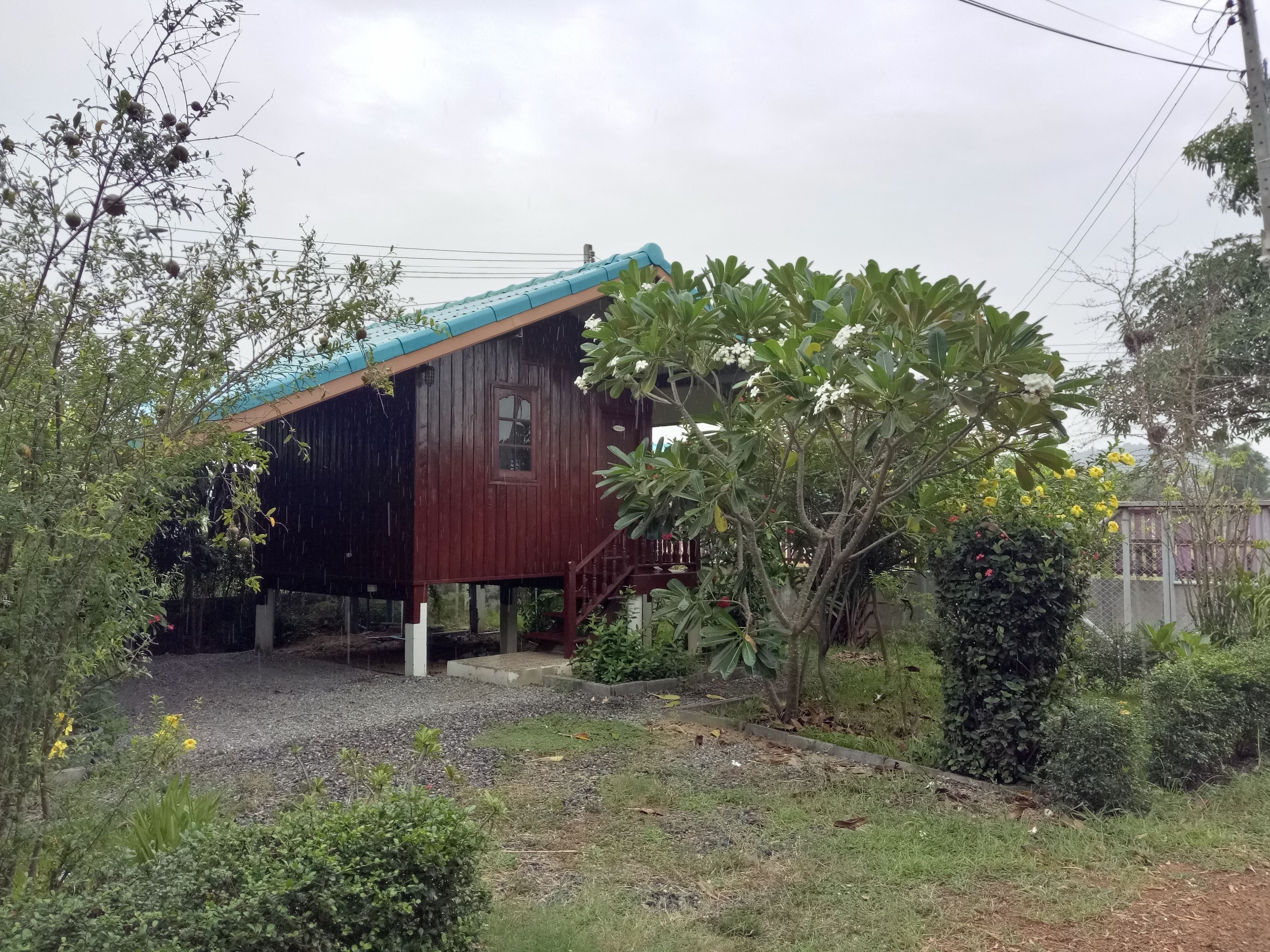 Um edifício rústico de madeira com telhado inclinado, rodeado por vegetação exuberante e um caminho de cascalho.