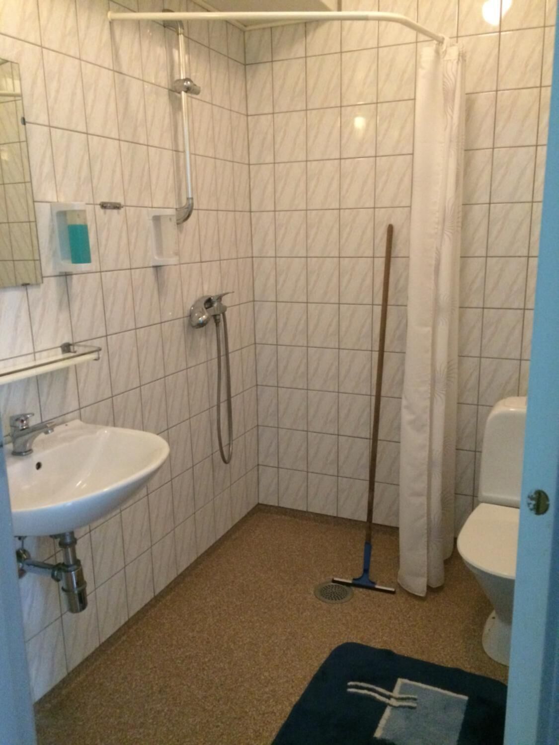Uma casa de banho pequena com uma sanita, chuveiro e lavatório branco.