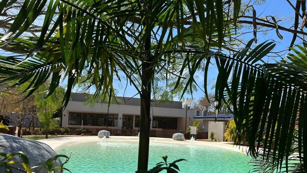 Piscina cercada por palmeiras e um edifício ao fundo.