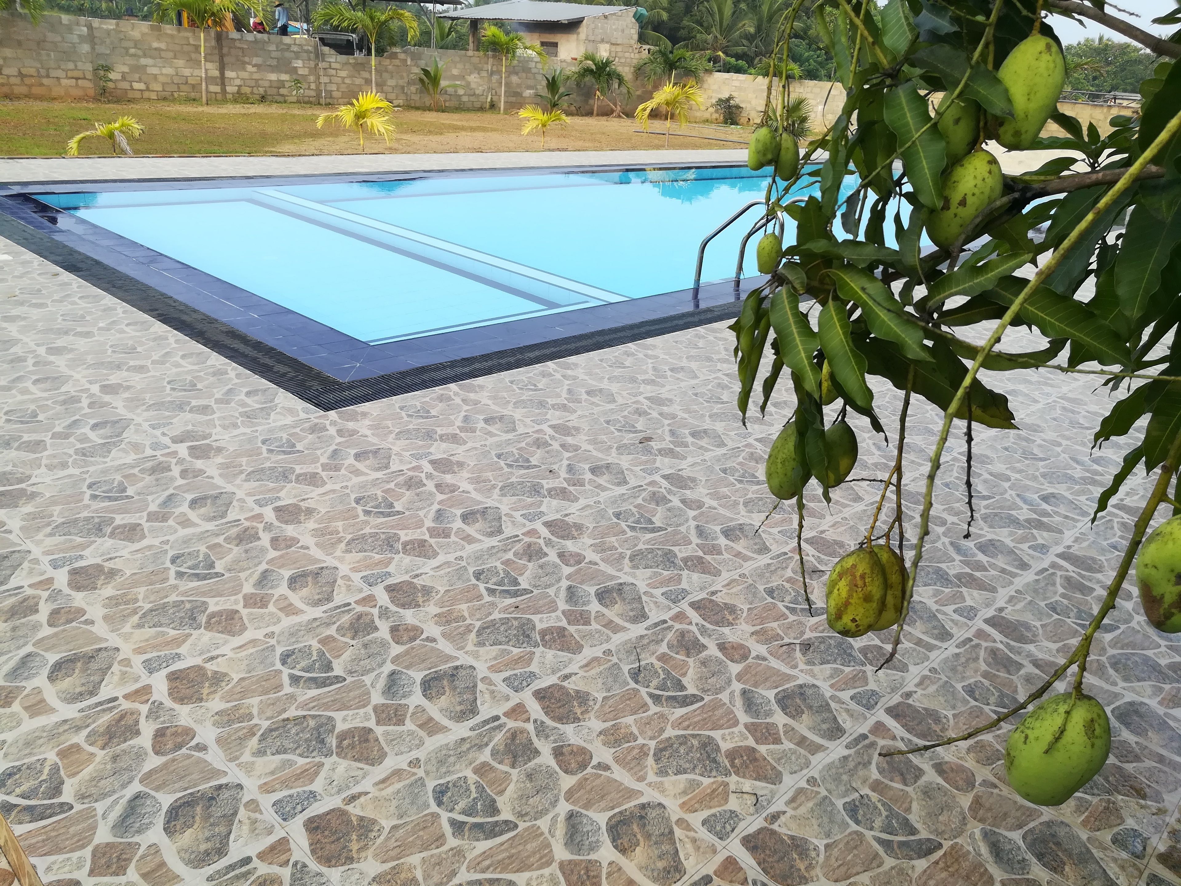 Piscina com deck de pedra e vista para área residencial com palmeiras e muro de pedra ao fundo.