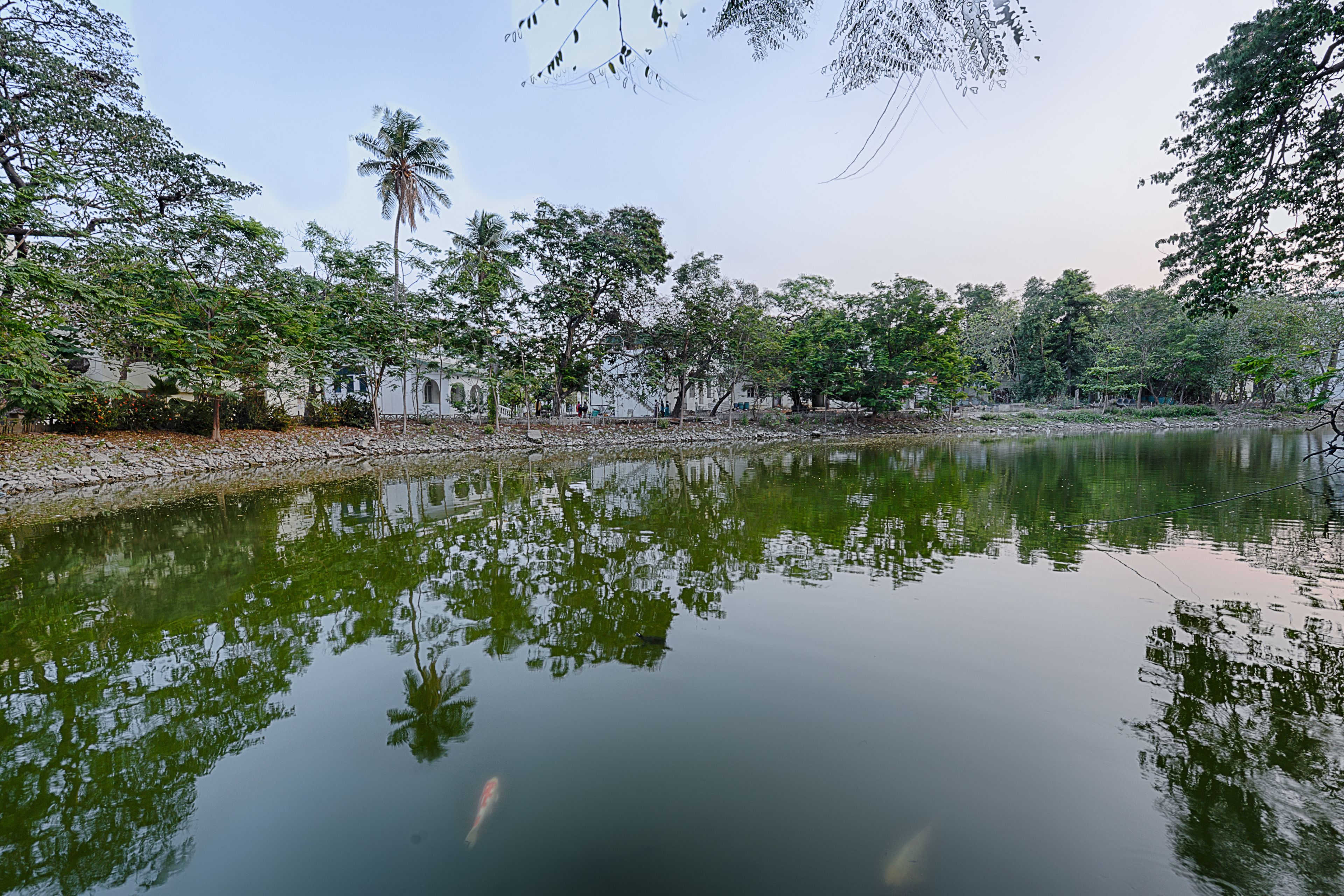 Um lago calmo com reflexos de árvores e um edifício ao fundo.