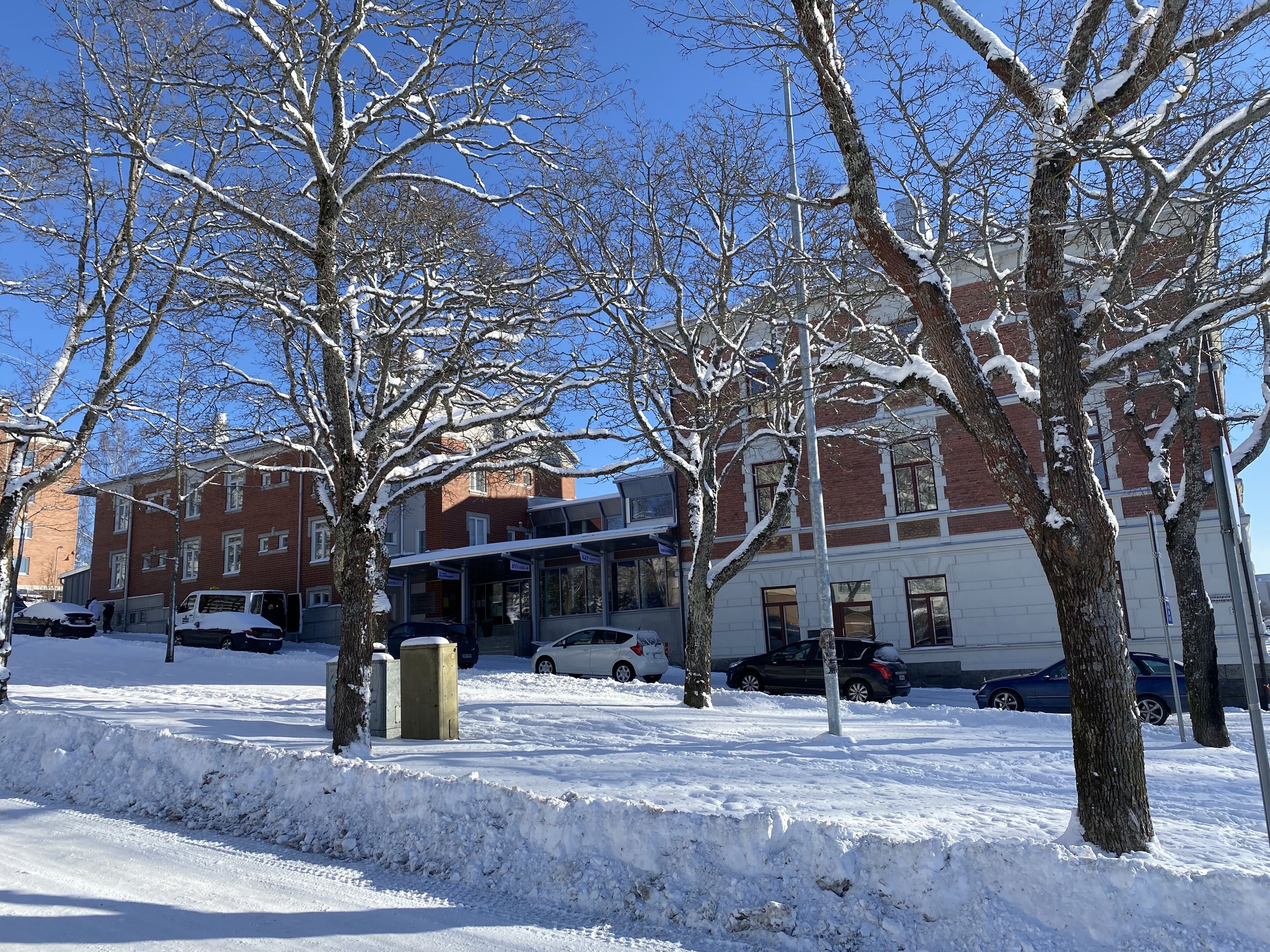 Rua coberta de neve, com árvores secas e carros estacionados.