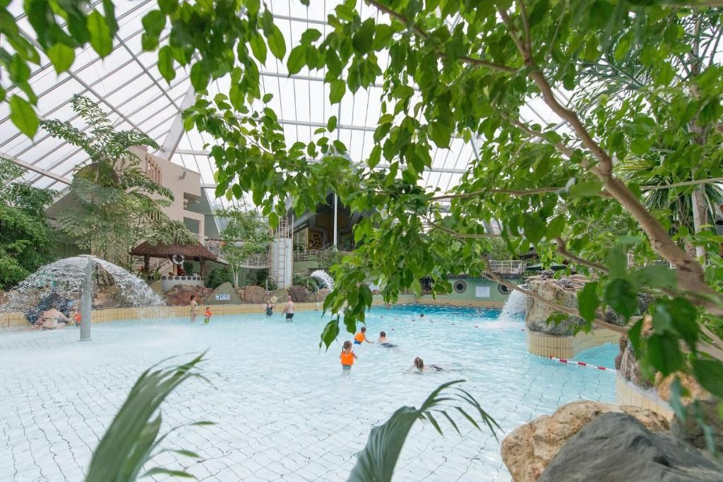 Piscina interna com teto de vidro, cercada por pedras e vegetação.