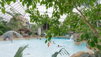 Piscina interna com teto de vidro, cercada por pedras e vegetação.