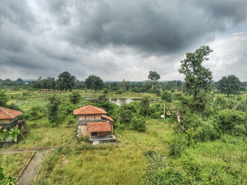 Maati Jungle Lodge - Chhattisgarh