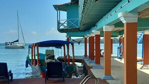 Imagem não classificada, 4 de 56, botão