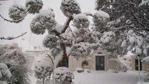 Um jardim coberto de neve, com árvores e um edifício de pedra.