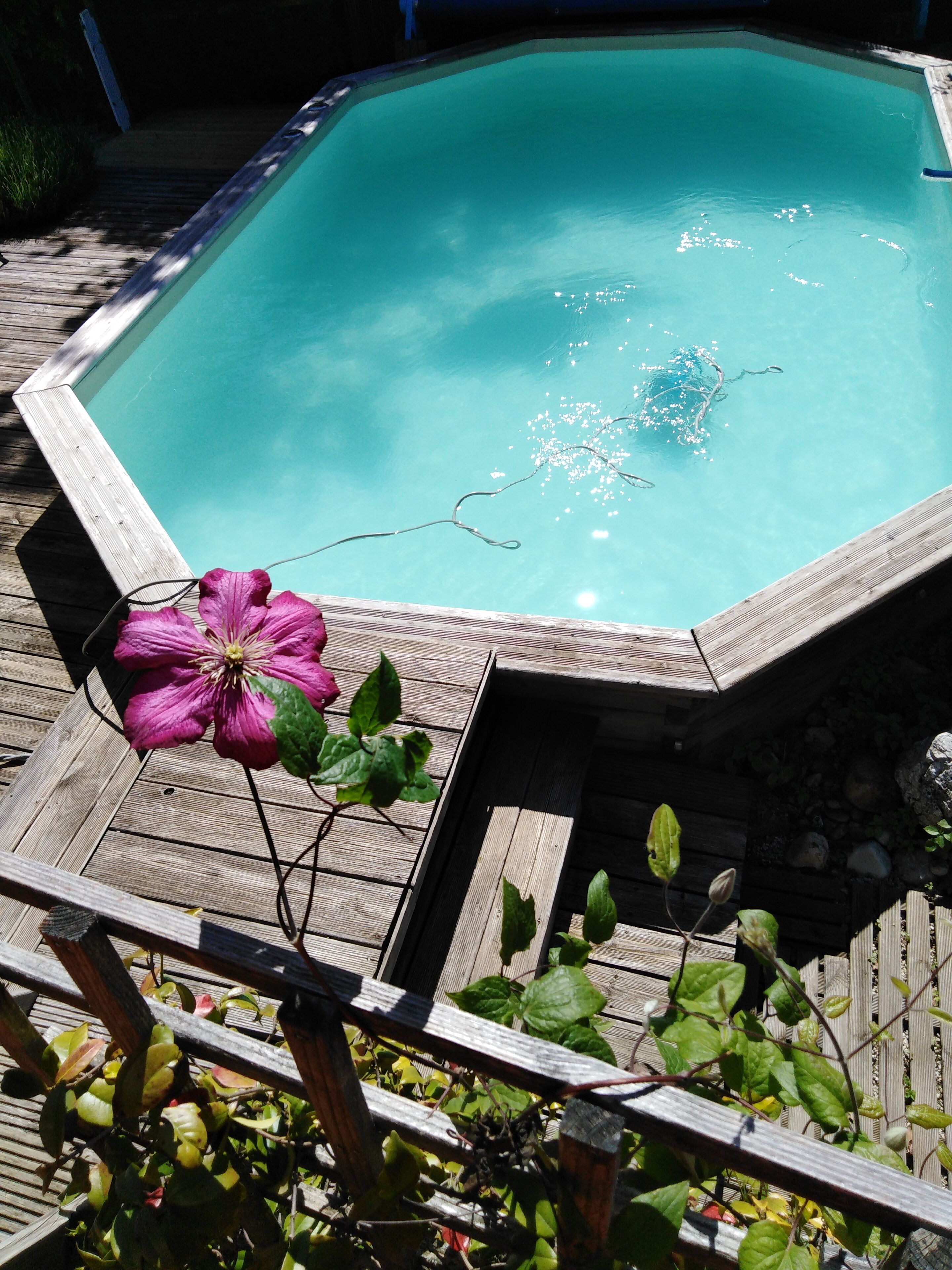 Piscina externa sazonal, funciona das 17h30 às 20h, espreguiçadeiras