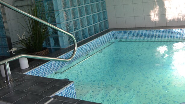 Piscina com borda azulejada, corrimão de metal e planta em vaso.