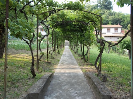 Terrenos do alojamento. Affittacamere Il Tiglio