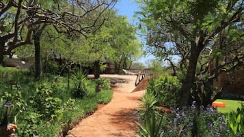 Terrenos do alojamento