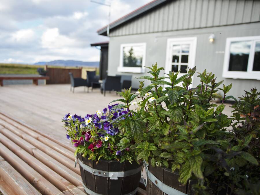 Terrenos do alojamento