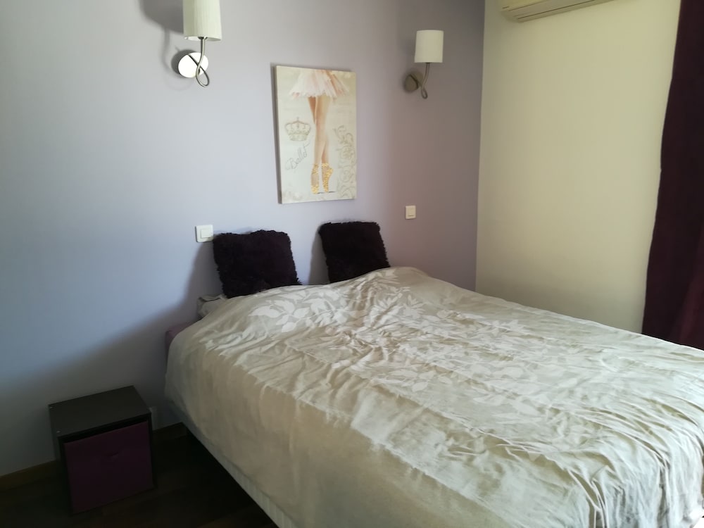 Villa 300m2  Piscine Chauffée  Jacuzzi+spa De Nage - Ajaccio