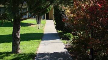 Terrenos do alojamento