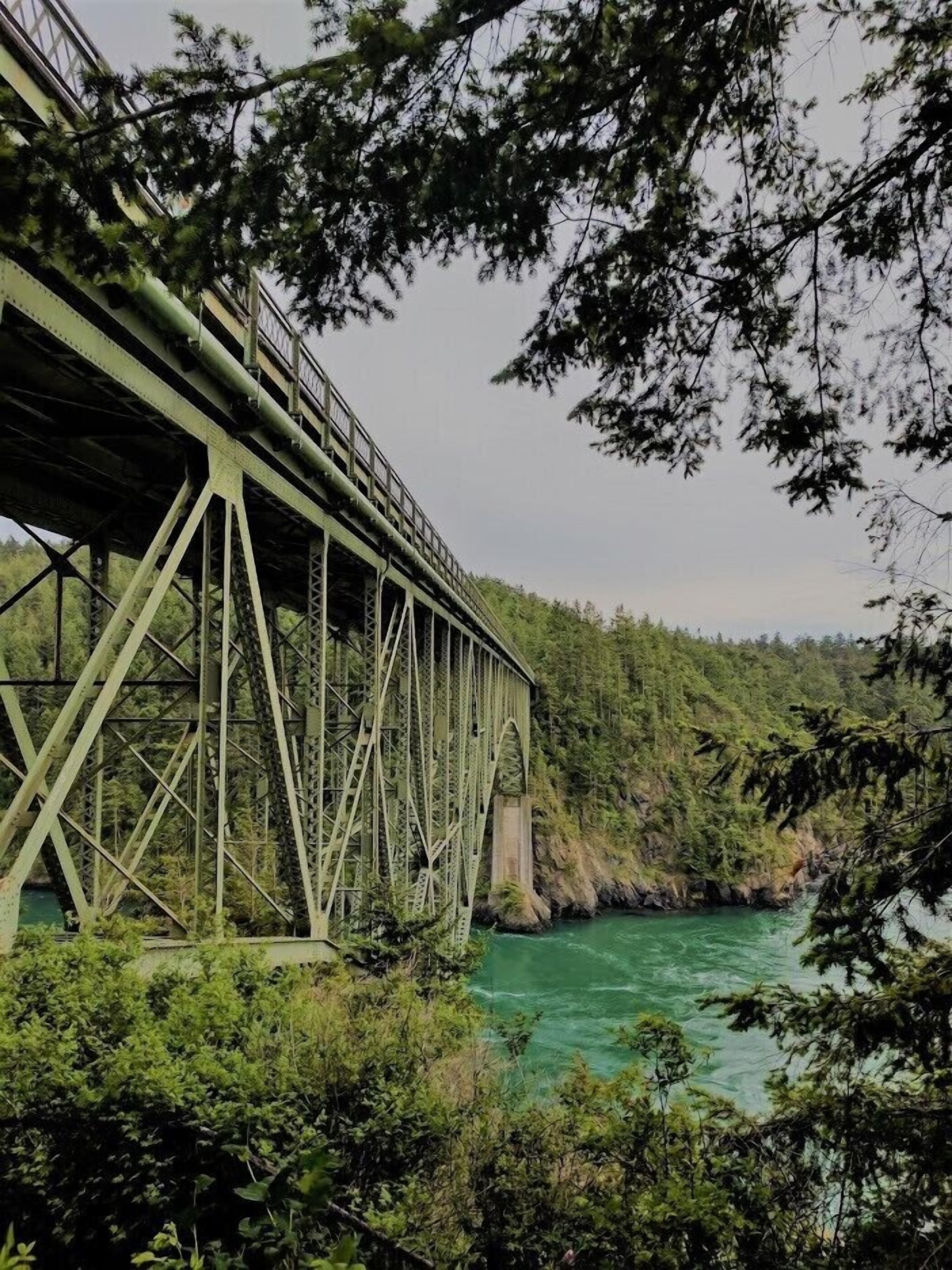 Uma ponte de metal verde sobre um rio, rodeado por floresta densa.