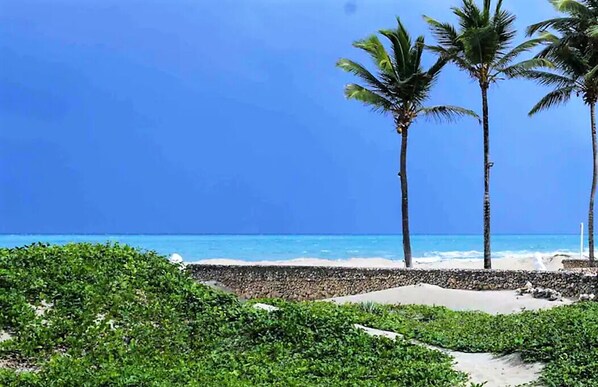 Vista para o campo desde o alojamento