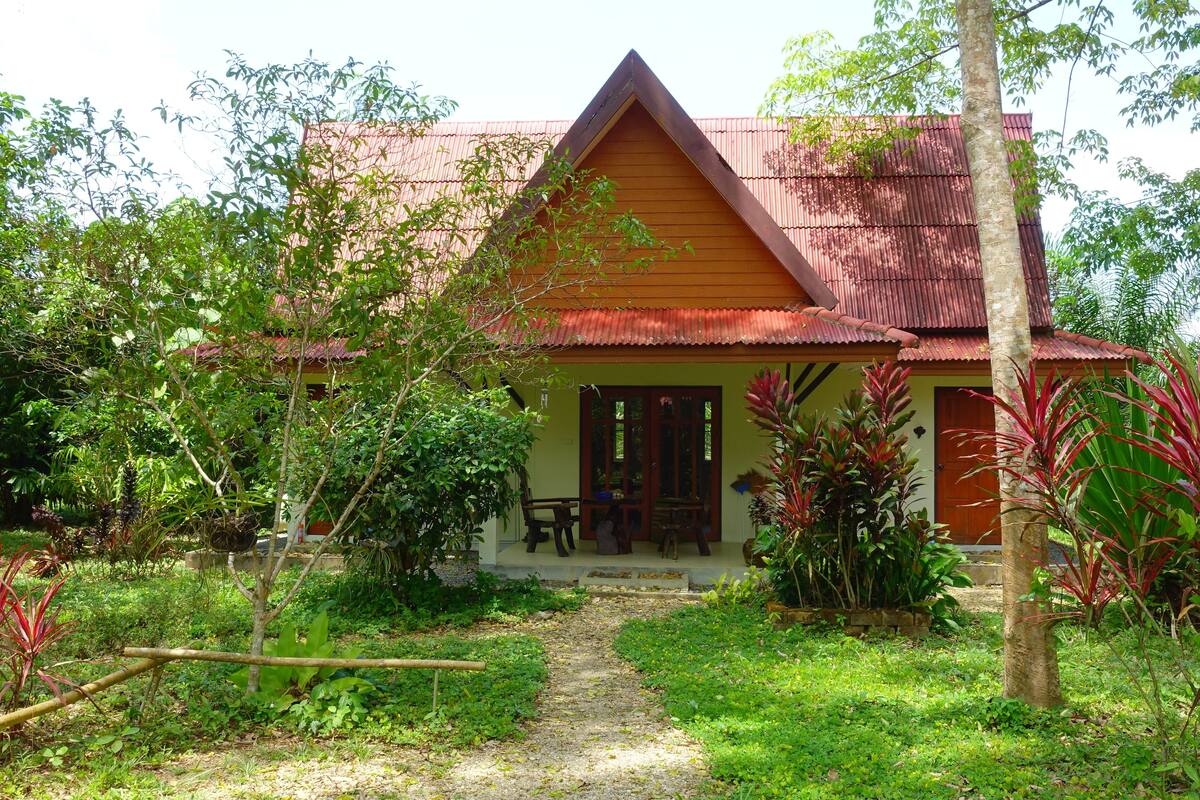 Uma casa com telhado vermelho, cercada por vegetação exuberante e uma trilha de terra que leva à entrada.