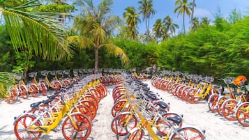Uma praia com fileiras de bicicletas amarelas e vermelhas alinhadas na areia, cercada por palmeiras e vegetação.