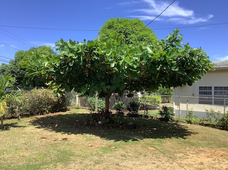 Fachada da propriedade. ritashomeawayfromhome