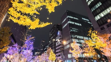 Rua urbana iluminada à noite, com árvores e edifícios modernos.