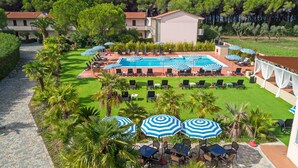 Área da piscina com várias espreguiçadeiras e guarda-sóis, cercada por palmeiras e um gramado bem cuidado.