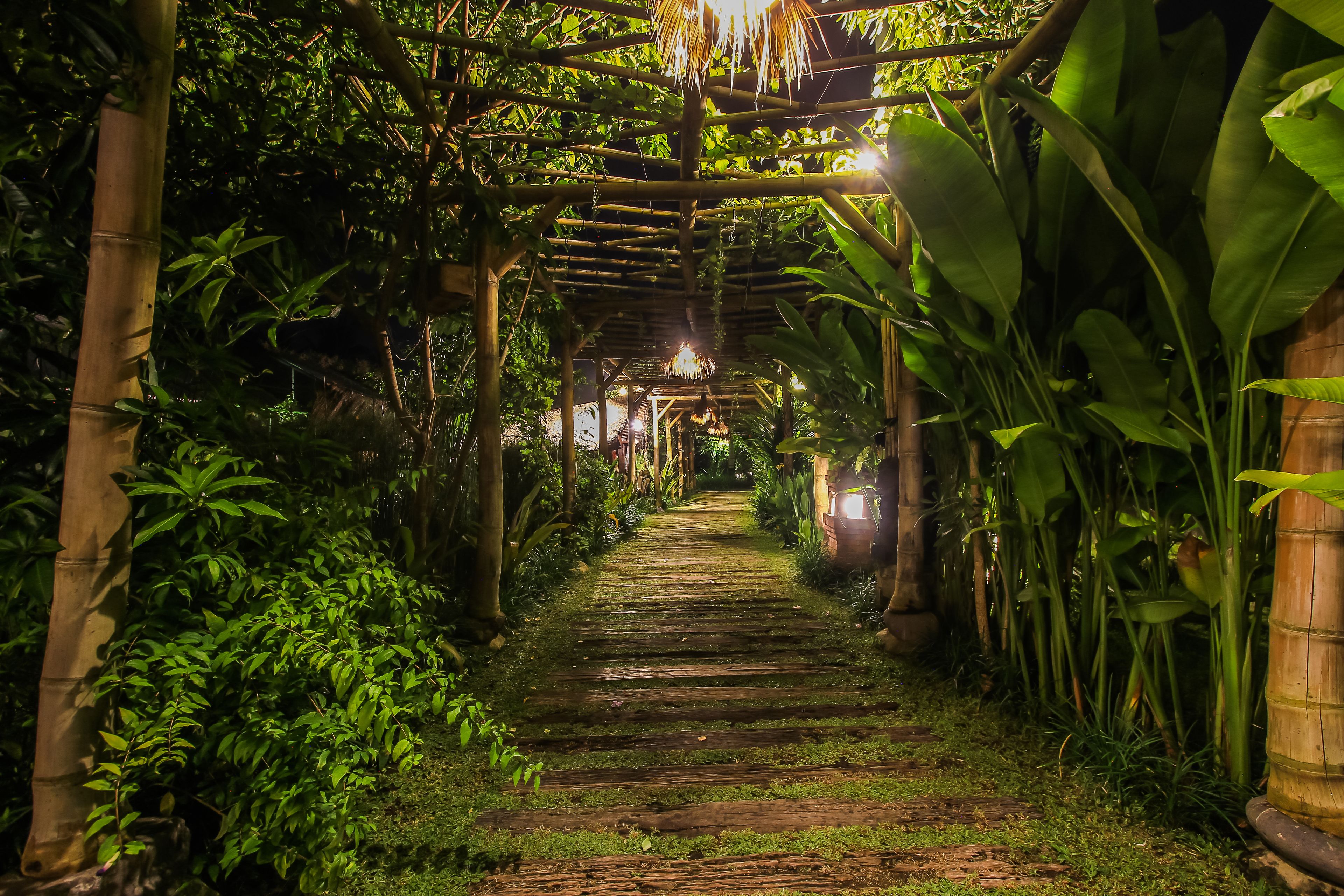 Uma trilha de madeira ladeada por vegetação exuberante e estruturas de bambu, conduzindo a uma área sombreada com luminárias pendentes.