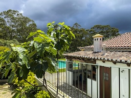 Jardim