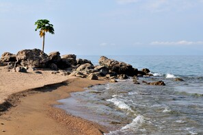 Uma praia com uma palmeira sobre rochas, água cristalina e uma costa arenosa.