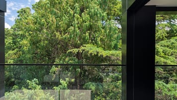 Vista para o jardim