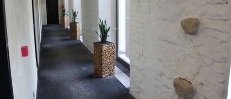 Um corredor com parede de pedra, piso coberto por carpete e duas plantas em vasos.