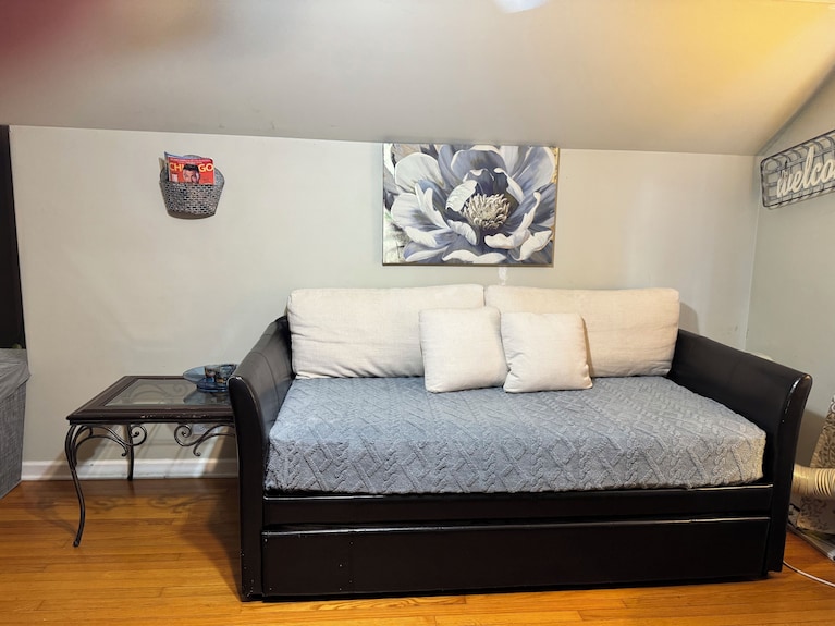 Comfort/clean!: Free Parking 15 Min Ord/downtown3 - Chicago O'Hare Airport (ORD)