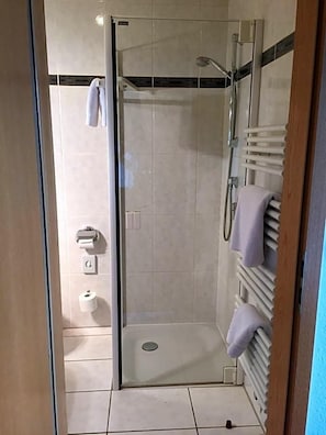 Box de chuveiro com divisória de vidro, chuveiro manual, porta-toalhas com toalhas e dispensador de papel higiênico.