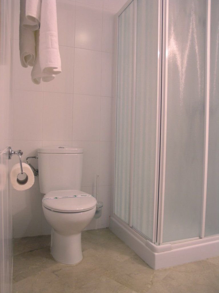 Casa de banho com sanita, cabine de duche e porta-toalhas.