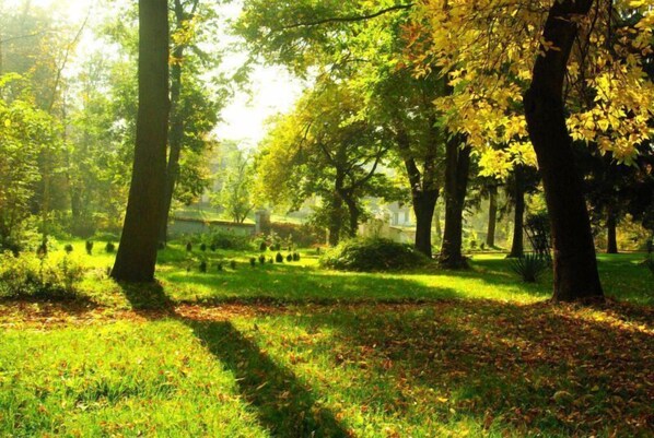 Jardim