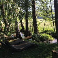 Jardim