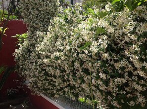 Terrenos do alojamento