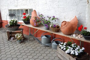 Diversas plantas em vasos e ferramentas de jardinagem sobre um banco de madeira em frente a um edifício.