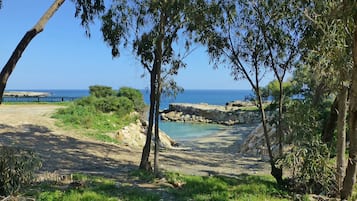 Na praia, praia de areia branca, mergulho