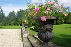 Área da propriedade