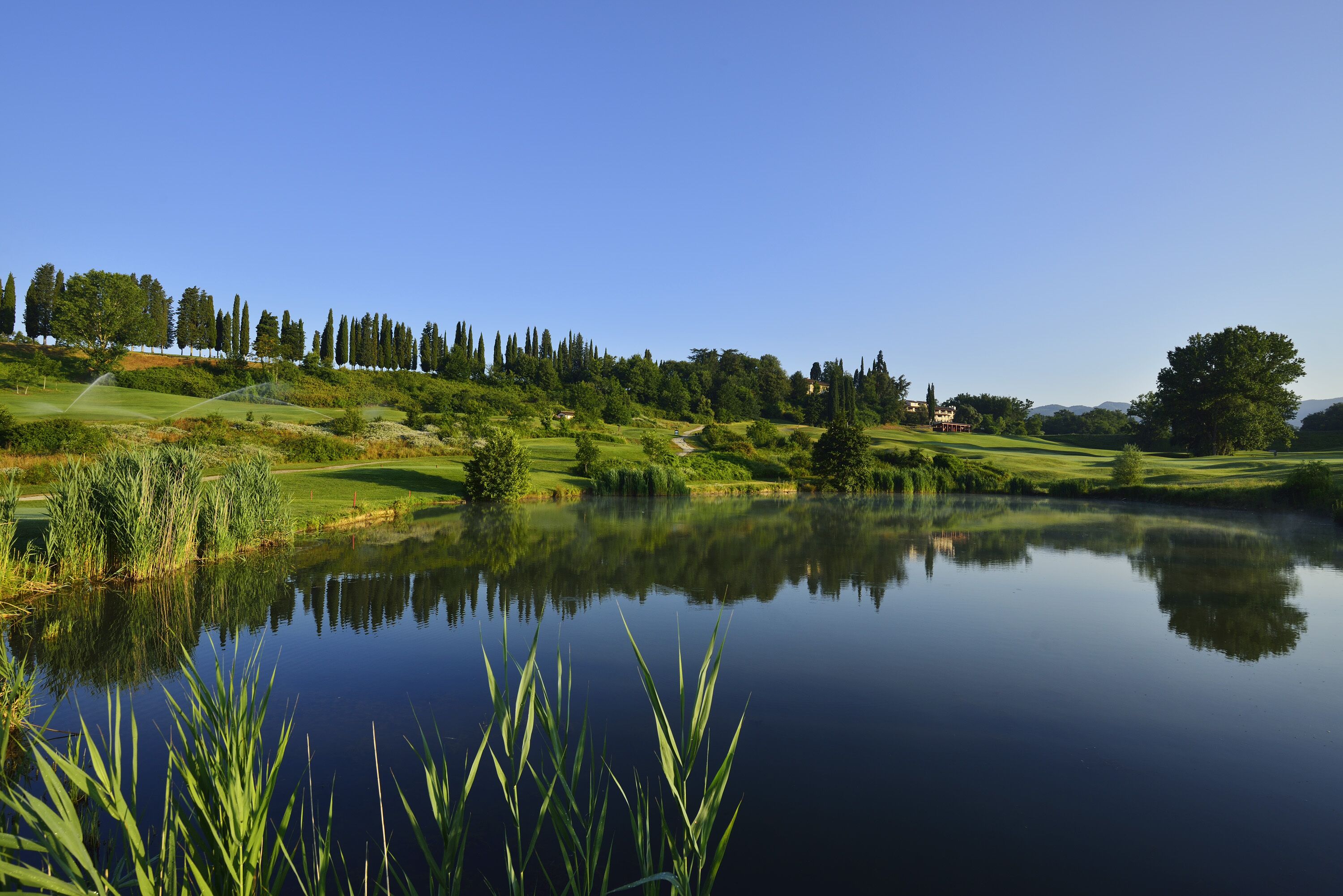 Paisagem tranquila com um lago calmo, vegetação exuberante e edifícios ao longe.