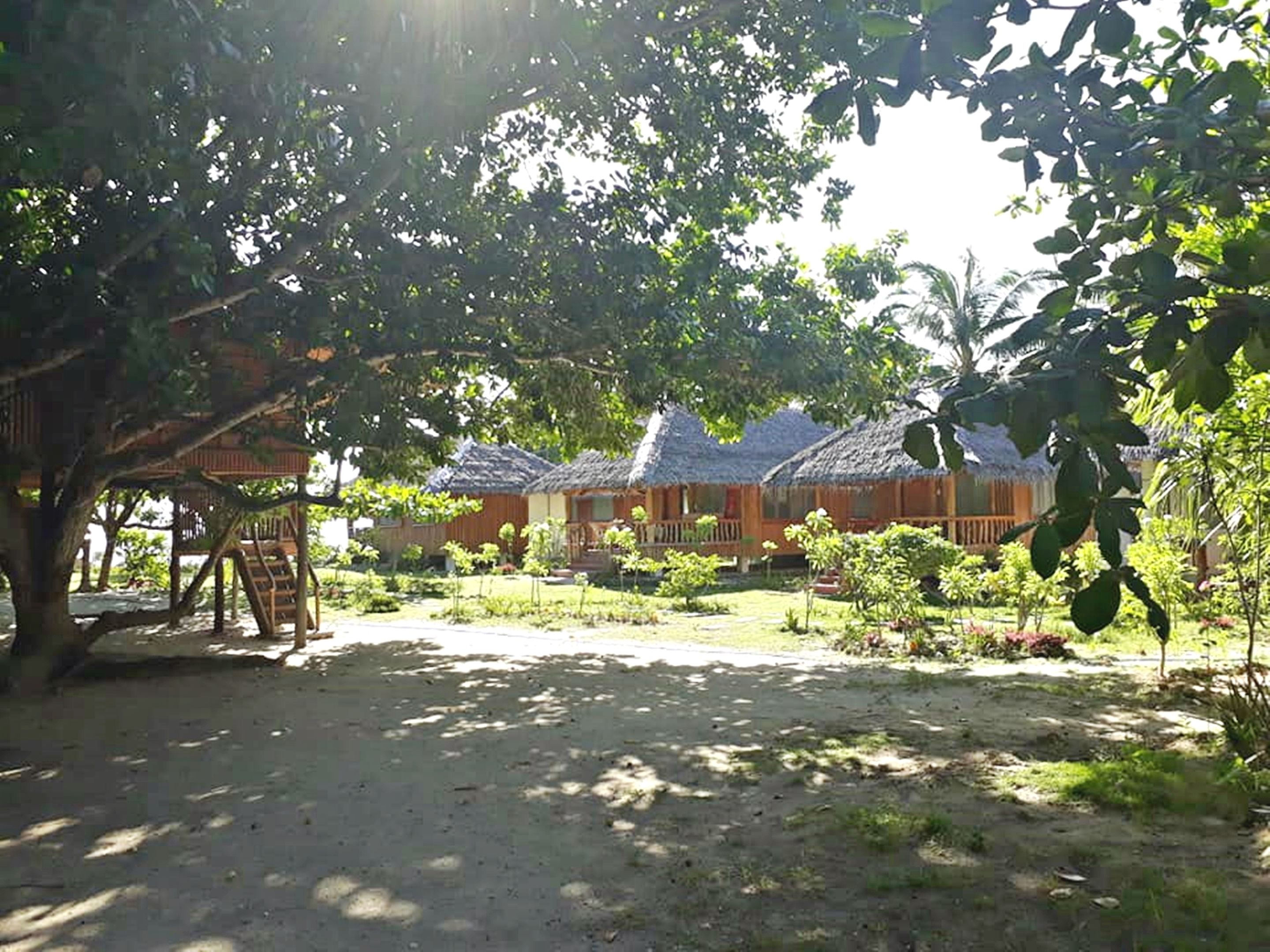 Alojamento em estilo bungalow com telhados de palha, rodeado por vegetação exuberante e árvores.