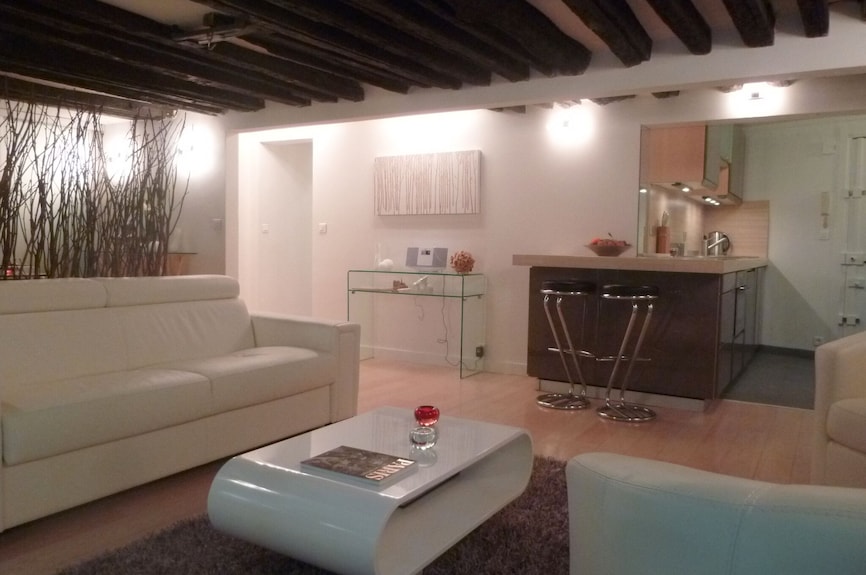 Charming Apartment With Terrace, Steps From Notre-dame - Paris