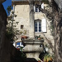 Uma fonte de pedra com vários níveis, rodeada por vasos de plantas e árvores.