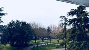 Um parque com um caminho sinuoso, bancos e árvores.
