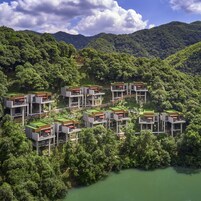 Roupas de cama premium, edredons de pluma