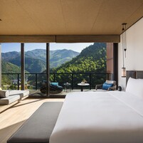 Roupas de cama premium, edredons de pluma