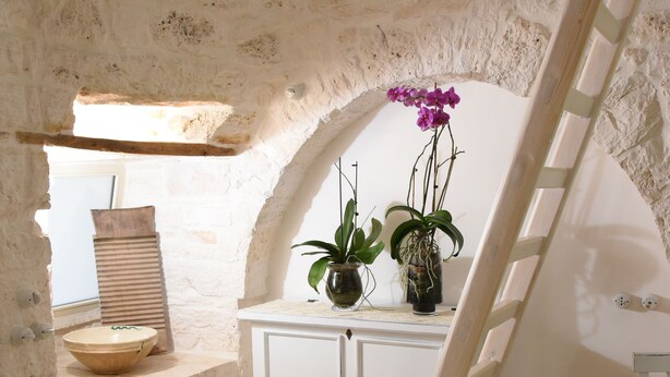Um quarto com paredes de pedra, uma escada, um armário branco e duas plantas em vasos.