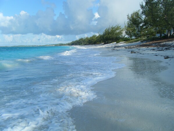 Tar Bay's Hidden Treasure! "The place to be" - George Town | Vrbo