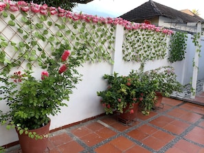 Jardim