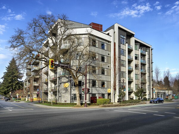 Solo Suites - Langford